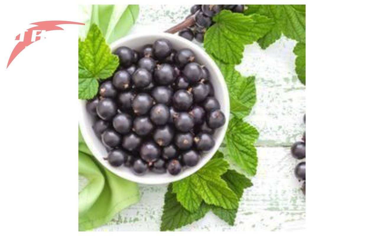 Black Currant Flavor - Just Flavors